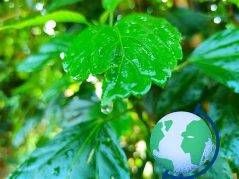 Sampad Patra On Linkedin Nature