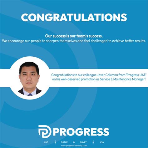 Progresssecuritysystems Promotion Service Progress Security