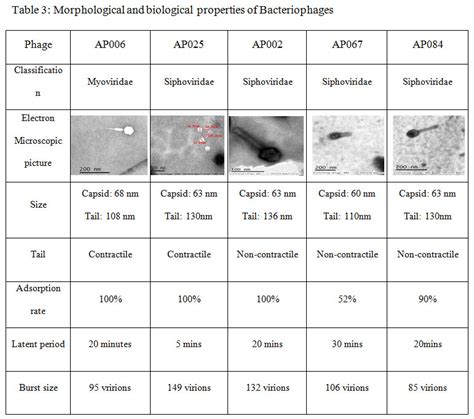Analysis Of Susceptibility Patterns Of Pseudomonas Aeruginosa And