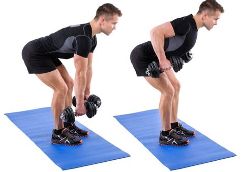 Dumbbell Exercises With Bench At Rebecca Skinner Blog