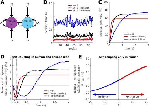 Figures And Data In Evolutionary Shaping Of Human Brain Dynamics Elife
