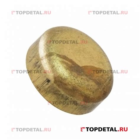 Заглушка (28) головки блока дв.236,238 313934-П купить в интернет ...