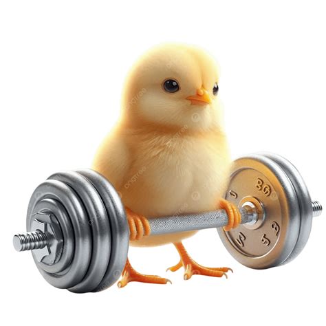 투명한 배경에 분리된 아령을 들고 있는 사랑스러운 아기 병아리 아기 병아리 아령 피트니스 만화 Png 일러스트 및 이미지 에 대한 무료 다운로드 Pngtree