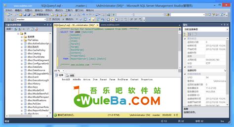 microsoft sql server 2012 官方简体中文版下载（附sql2012序列号） 王牌软件