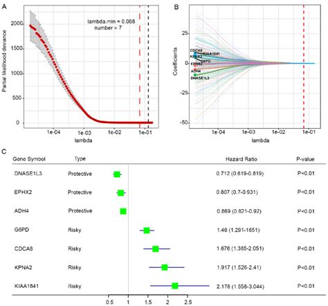 Development Of The Prognostic Gene Signature Using Lasso Regression Download Scientific Diagram