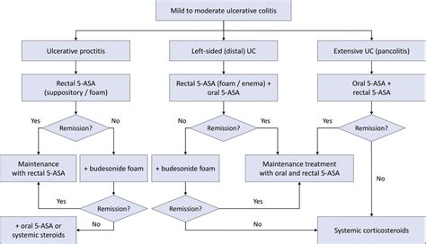 A Proposed Treatment Algorithm For Mild To Moderate Ulcerative Colitis—with An Emphasis On