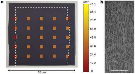Confined Shear‐aligned Nanotube Film Deposited Across An 8 × 8 Cm² Area