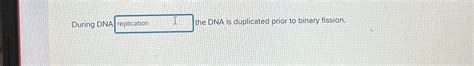 Solved During Dna The Dna Is Duplicated Prior To Binary