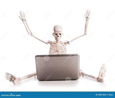 Skeleton Working On Laptop Stock Image Image Of Hacker 29057895