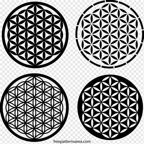 겹치는 원 그리드 티셔츠 Vitruvian Man 신성한 기하학 도형 사진술 대칭 단색화 Png Pngwing