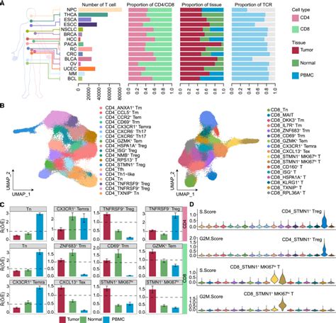 Identification Of Shared Characteristics In Tumor Infiltrating T Cells Across 15 Cancers Pmc