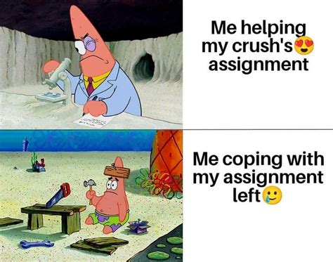 Assignment Help Rstudybuddy