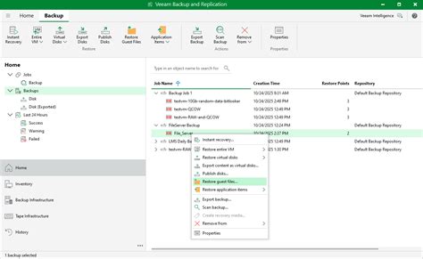 File Level Backup Veeam At Keira Crampton Blog