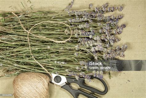 라벤더 대체 의학 식물 요법 스파 또는 허브 화장품에 사용하기 위한 마른 허브 주입 달인 또는 팅크를 준비합니다 분말 연고 기름 또는 차 목욕용 0명에 대한 스톡 사진 및