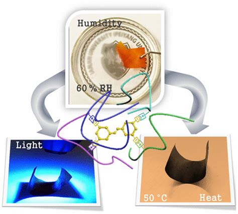 四羧酸偶氮苯 聚合物超分子组装件作为高性能多响应致动器 Acs Applied Materials And Interfaces X Mol
