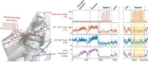 Raw And Processed Signals Notes A The 01 Hz Low Pass Filtering