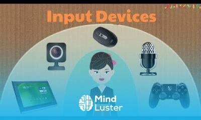 Input Devices Of Computer For Beginners Tutorial Mind Luster
