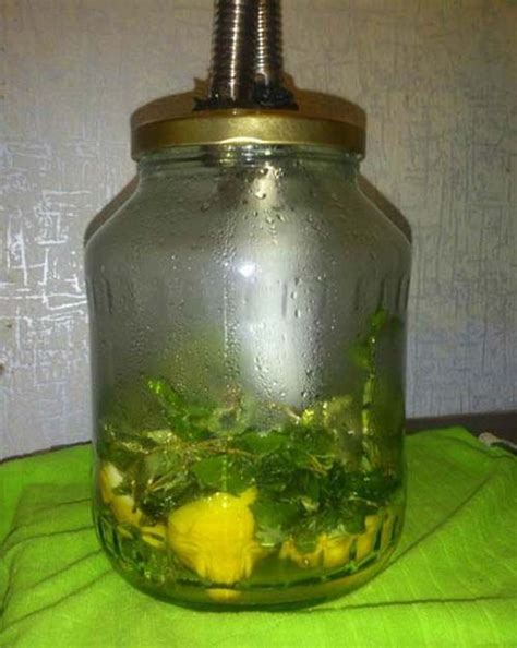 Ароматизация самогона и применение сухопарника