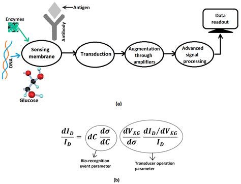 Biosensors Free Full Text Advancement And Challenges Of Biosensing Using Field Effect