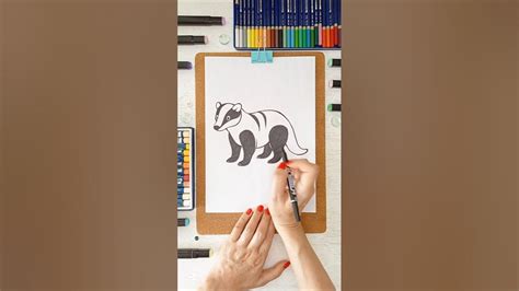 Как нарисовать БАРСУКА🦡 БЫСТРЫЙ рисунок Drawing какнарисовать Howtodraw Sketch скетч Youtube