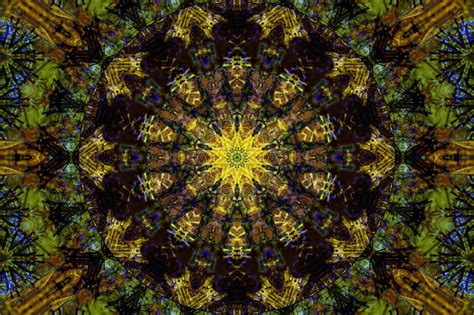 Robot Control Algorithms Top Ten Important Things You Need To Know