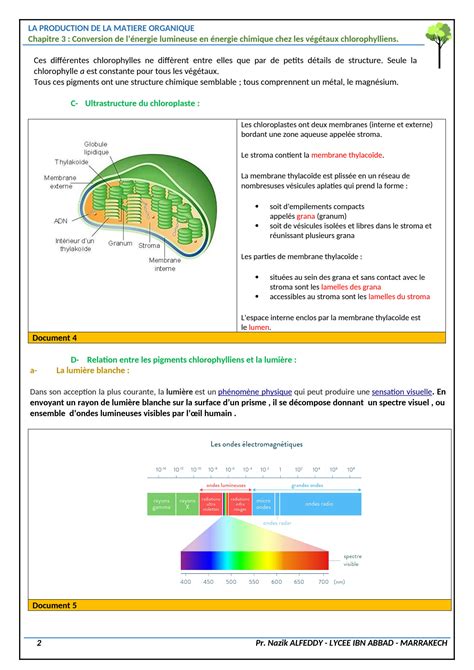 Solution Cours Conversion De Lenergie Lumineuse En Energie Chimique