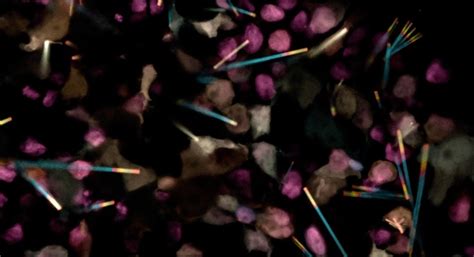 Nature Biotechnology