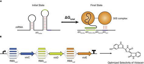 Overview Of The Rbs Calculator A Description Of The Thermodynamic