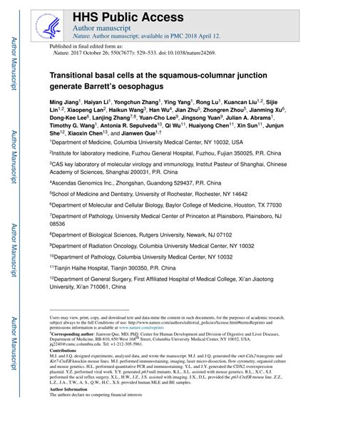 Pdf Transitional Basal Cells At The Squamous Columnar Junction
