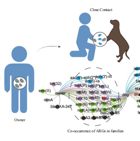 iMeta 南农沈其荣团队发布微生物网络分析和可视化R包ggClusterNet 知乎