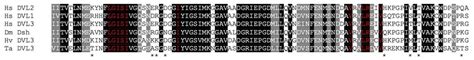 Fig S1 Related To Main Fig 3 Sequence Conservation Of The