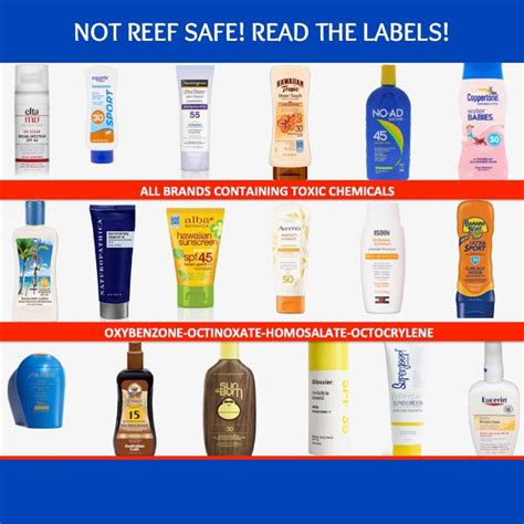 Is My Sunscreen Actually Reef Safe Celebrating The New Sunscreen Rules
