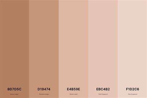 25 Best Neutral Color Palettes With Names And Hex Codes Creativebooster