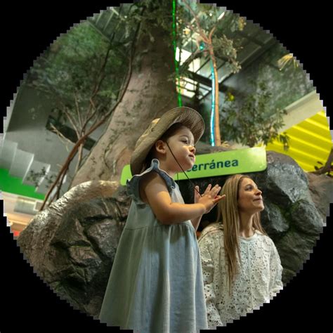 Tu Visita Papalote Museo Del Niño