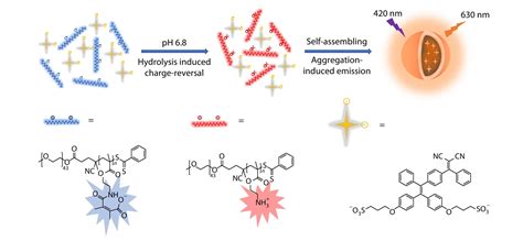 Issue 1 Year 2024 高分子科学（英文版）