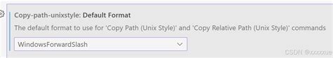 vs code 复制正确格式的文件路径 文件夹路径 绝对路径 相对路径 斜杠 反斜杠 等 vscode复制文件路径 csdn博客