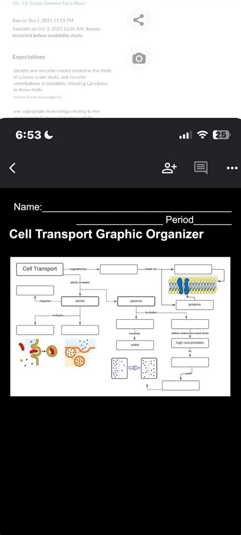 Solved 1 Simple Diffusion Movement Of Particles From An