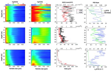A L The Vertical Distributions Of The Size Specific Particle Numbers Download Scientific