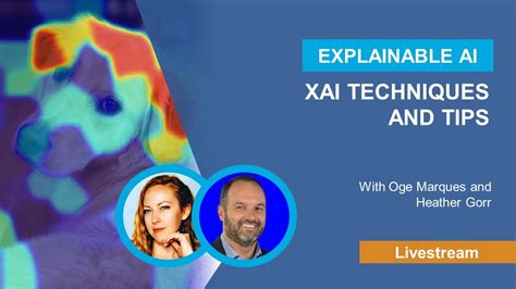 Explainable Ai With Matlab Techniques And Tricks Youtube