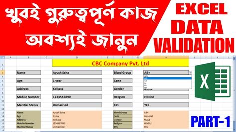 Excel Data Validation Part 1 খুবই গুরুত্বপূর্ণ কাজ অবশ্যই জানুন