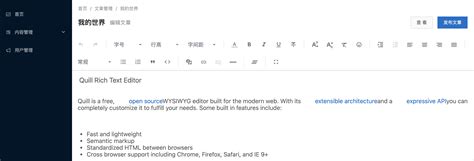 企业级系统项目集成 React 富文本编辑器 《react技术栈⚛️》 极客文档