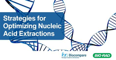 Rna Dna Pcr Bioprocessing Biotechnology Genomics Bio Rad Laboratories