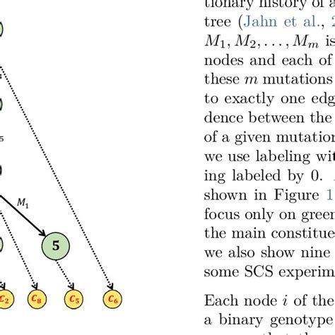 An Example Of Mutation Tree Green Nodes Solid Edges From Which Download Scientific Diagram