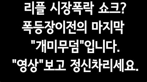 리플시장폭락쇼크폭등장이전의 마지막 개미무덤입니다영상보고 정신차리세요 Youtube