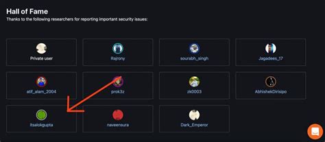 Halloffame Cybersecurity Bugbounty Bugcrowd Ethicalhacking Penetrationtesting Alok Kumar