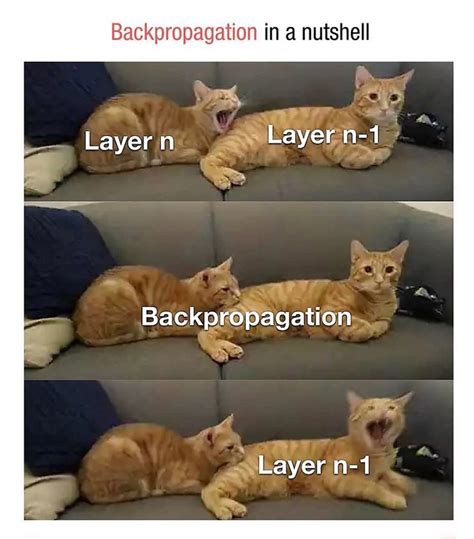 ai with ai more artificialintelligence ai how does backpropagation