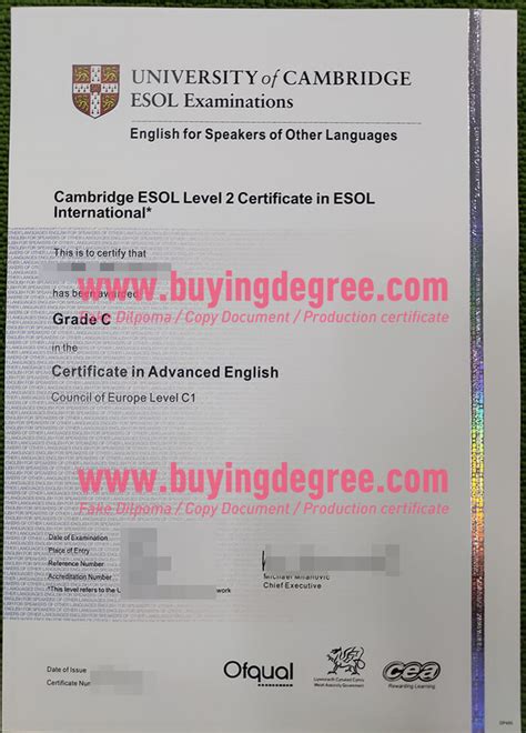 How Much Does It Cost To Customize A Cambridge Cae Certificate