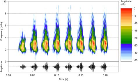 Spectrogram Upper And Waveform Lower Of Advertisement Call Of