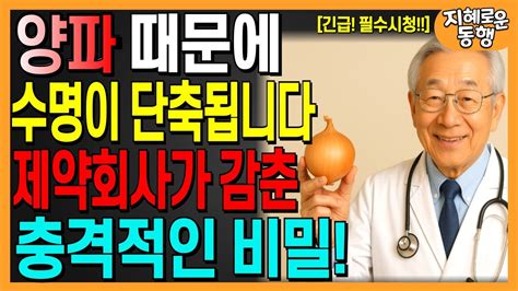 🔴 제약회사가 감춘 양파의 특별한 비밀 암과 치매를 이기는 황금 레시피 Youtube