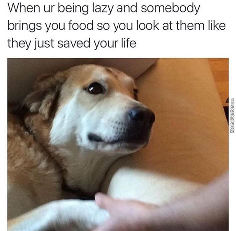25 Fresh Memes To Tickle Your Funny Bone Ebaums World
